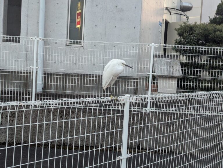 ODICってどんなところ？施設の案内と紹介＃4 ラウンジ | ODICメディア